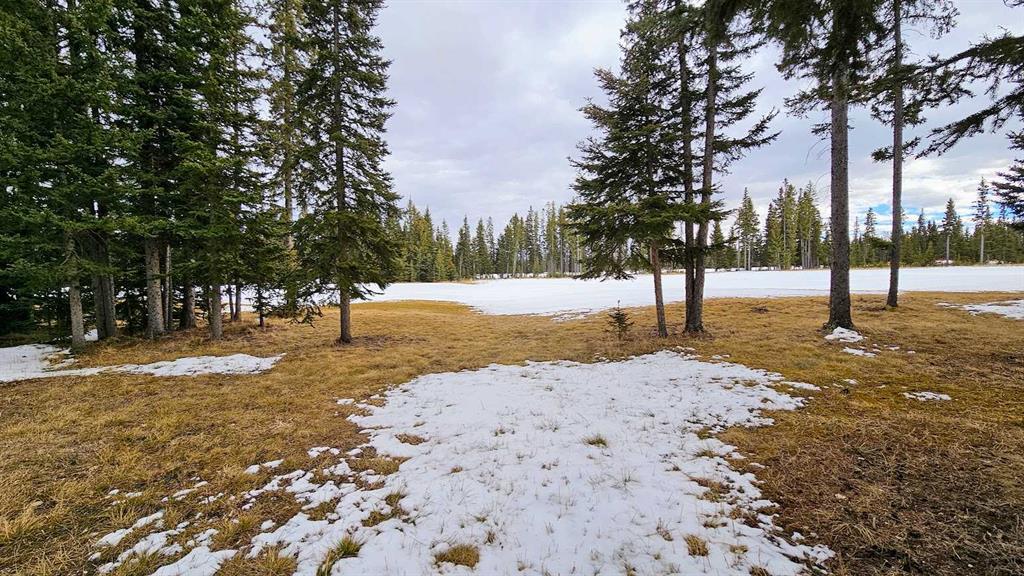 CIR Realty 71, 32351 Range Road 55 Rural Mountain View County, Coyote ...